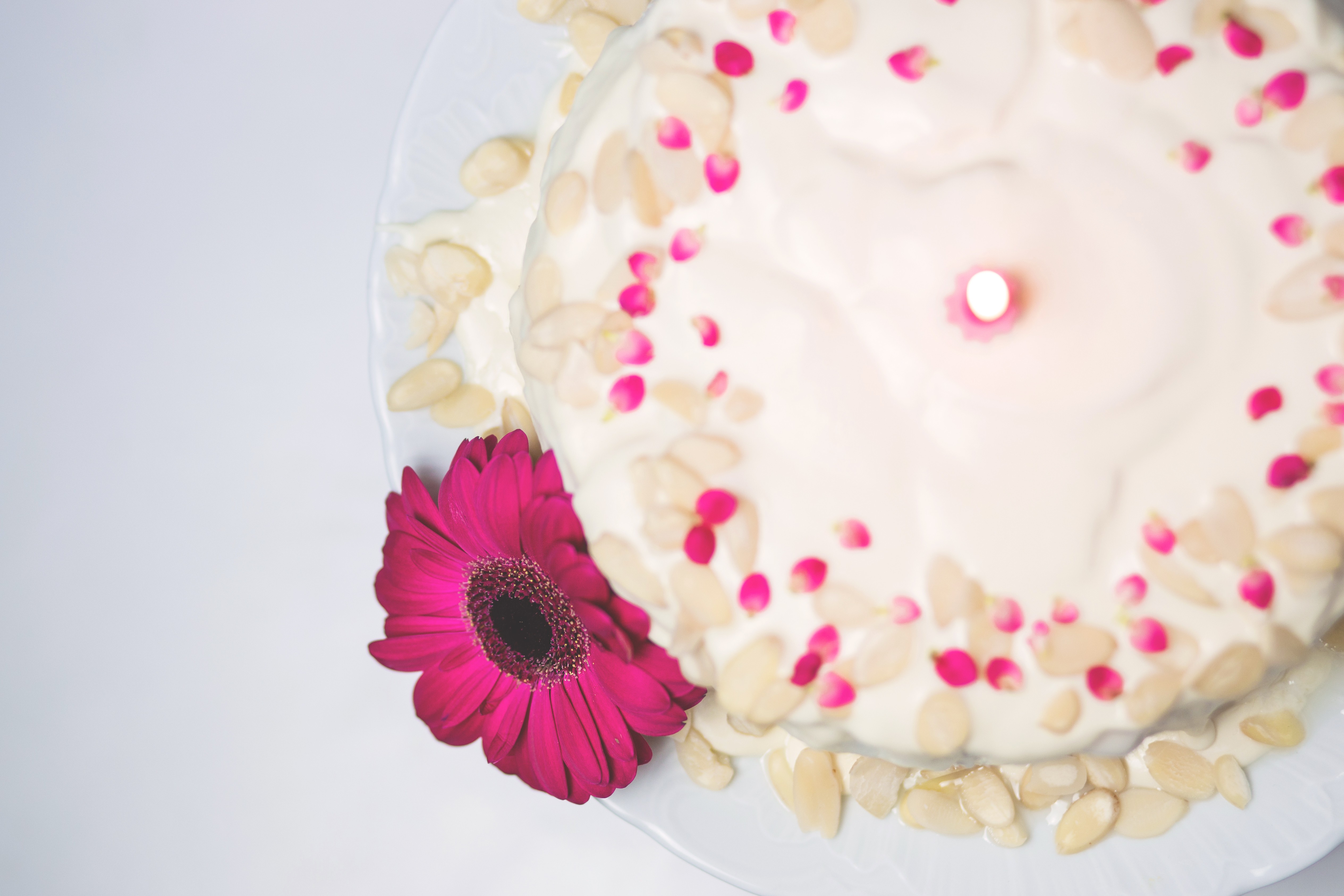 Happy birthday - freestocks.org - Free stock photo