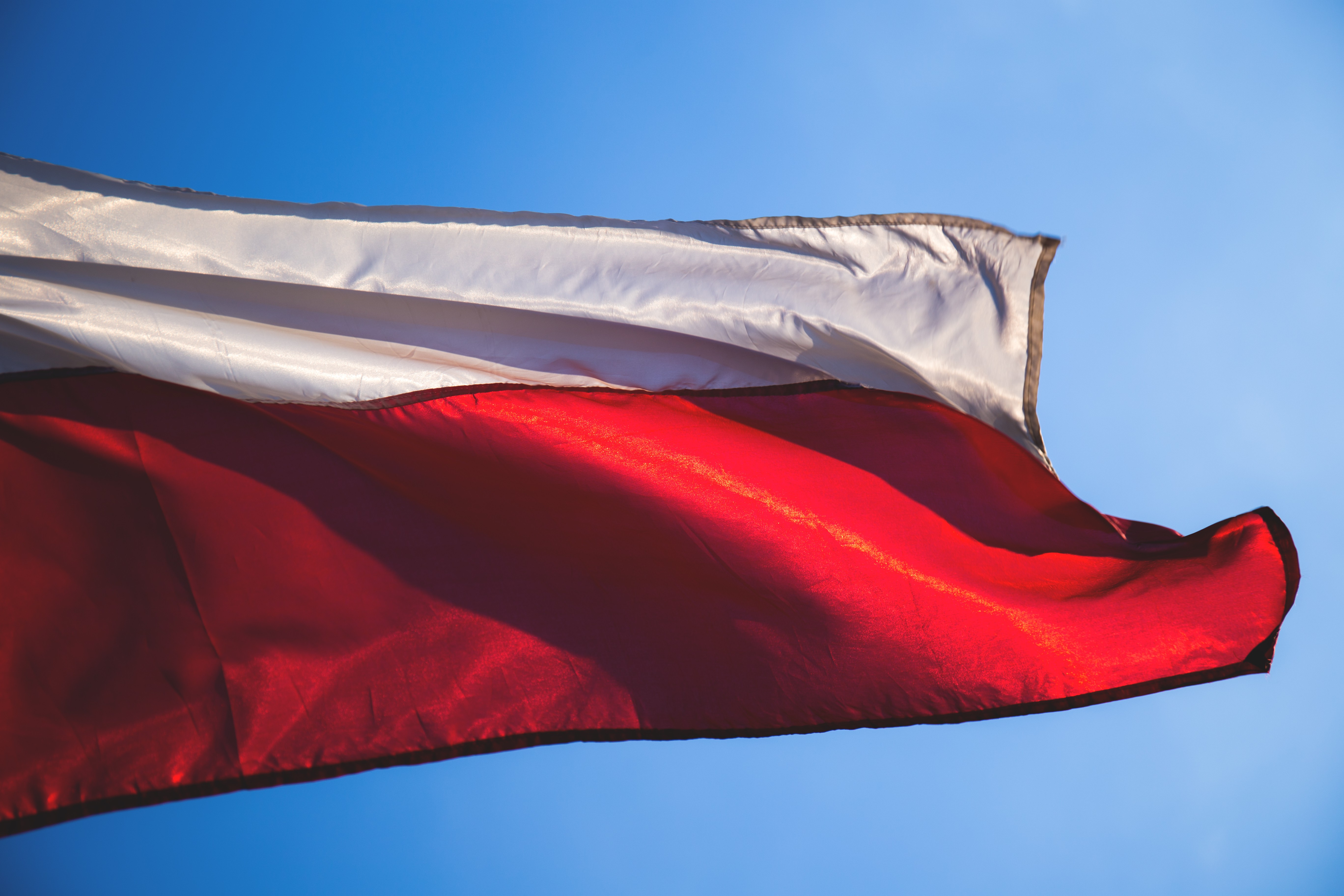 Polish flag 2 - freestocks.org - Free stock photo