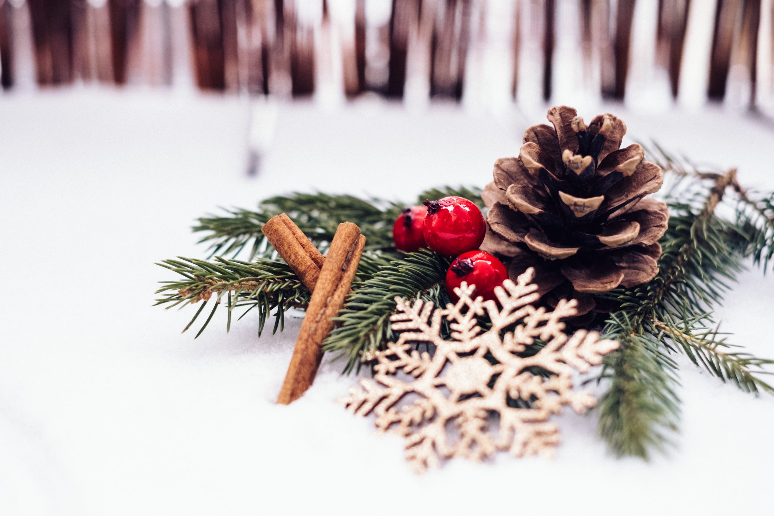 Christmas spruce decoration 4 - freestocks.org - Free stock photo